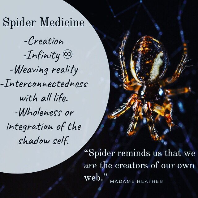 The Spider Spirit Guide – LunaOwl : The Unconventional Momma