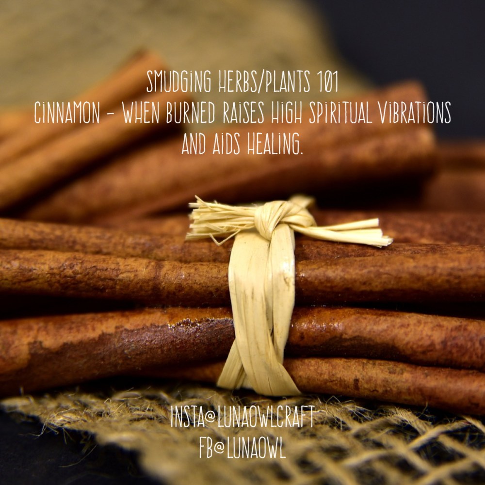 Smudging/Cleansing plants and herbs 101 – LunaOwl