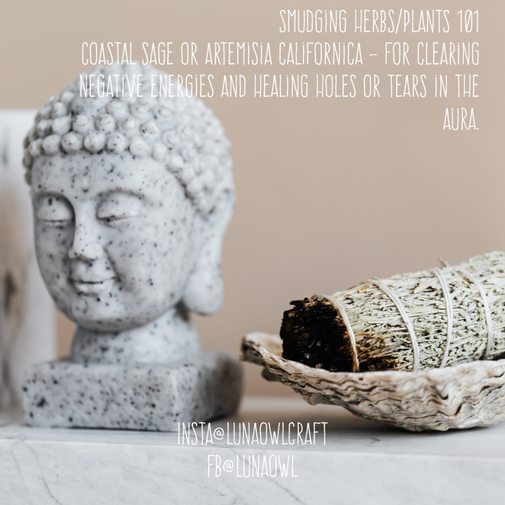 Smudging/Cleansing plants and herbs 101 – LunaOwl